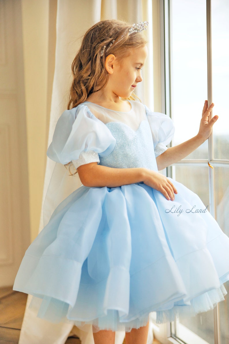 Blue Birthday Party Girl Dress Flower Girl Dress Tutu | Etsy