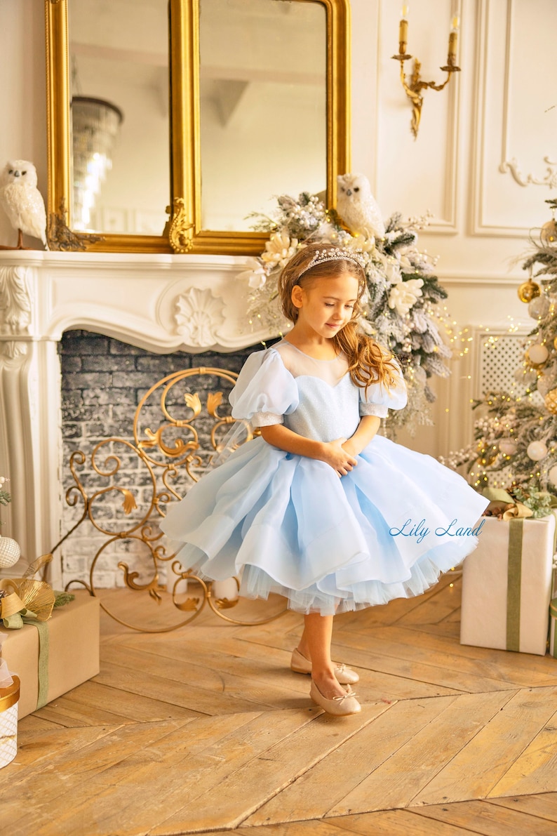Blue Birthday Party Girl Dress Flower Girl Dress Tutu | Etsy