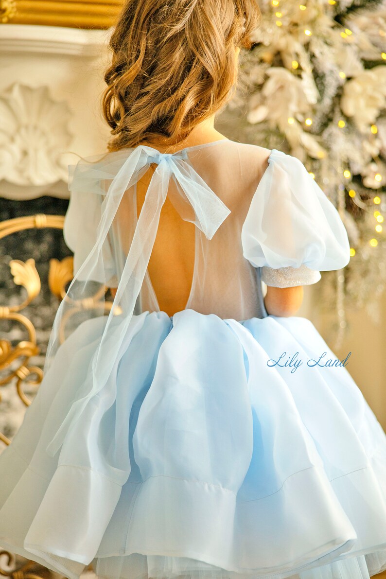 Blue Birthday Party Girl Dress, Flower Girl Dress, Tutu Organza Dress ...