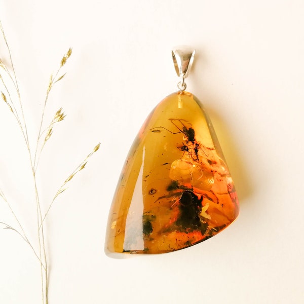 Amber Stone With Insect - Etsy