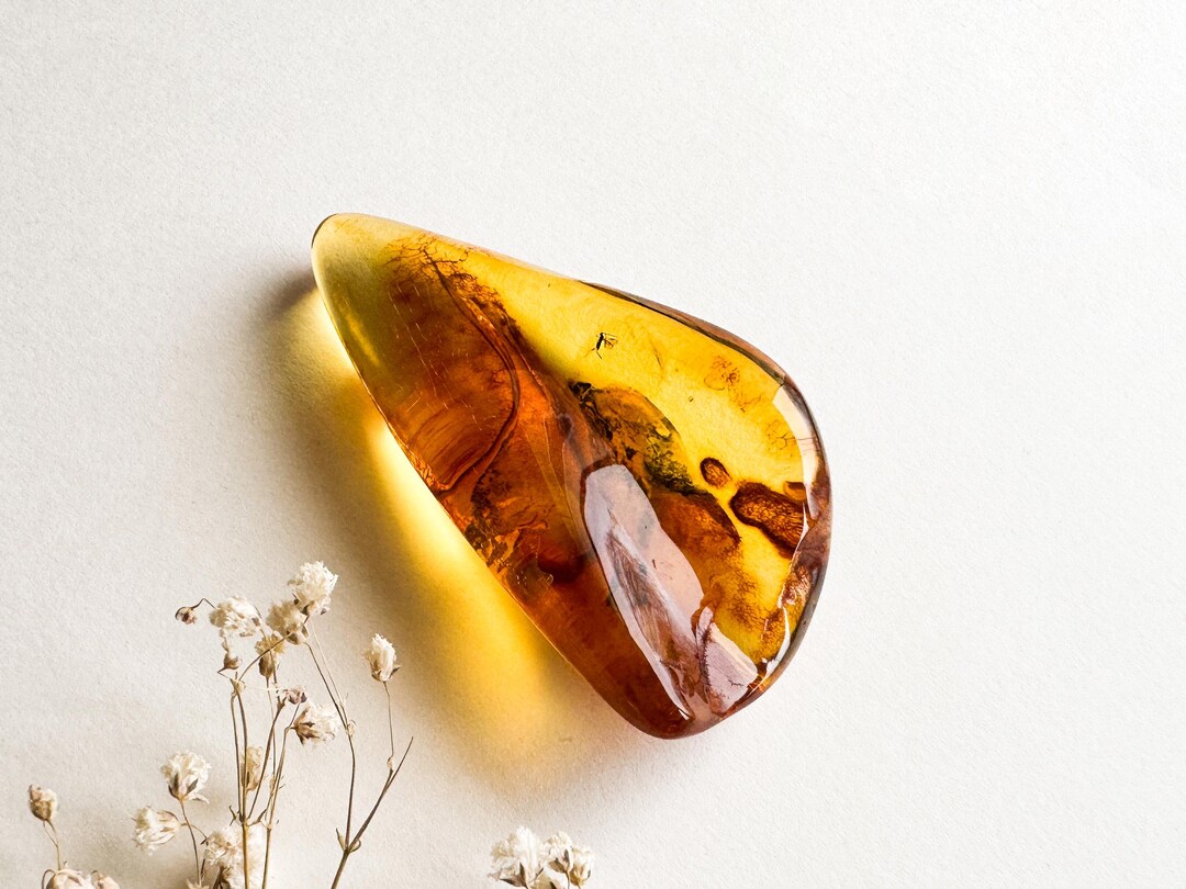 Large Triangle Amber Relic – Smooth Gemstone With Insect & Floral ...