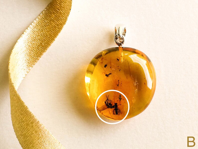 Mini Amber Insects Pendant Small Natural Amber Pendant With - Etsy