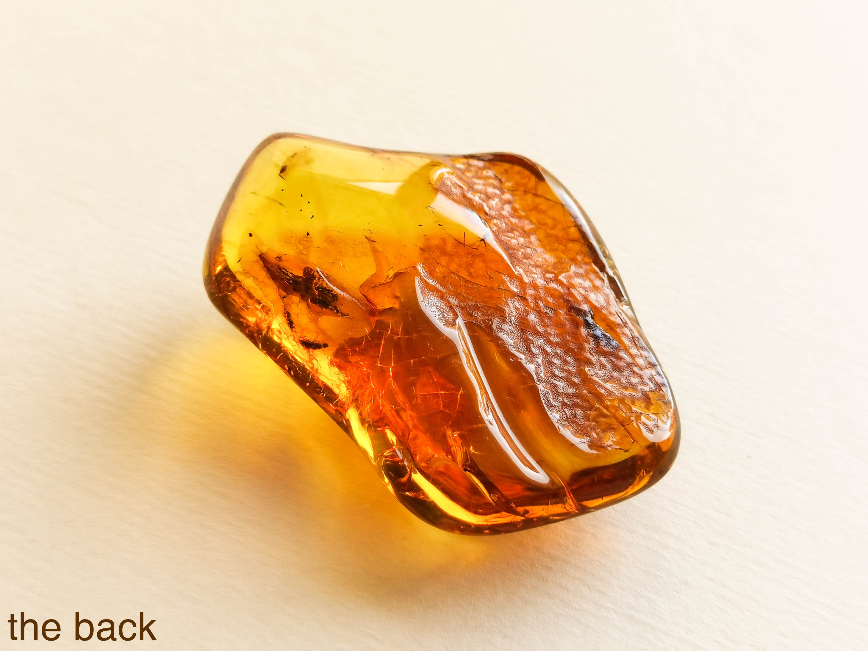 Cognac color genuine amber stone souvenir orange color home | Etsy