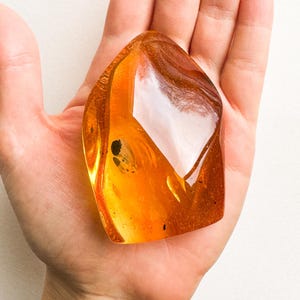 AmberByTorvela - Etsy