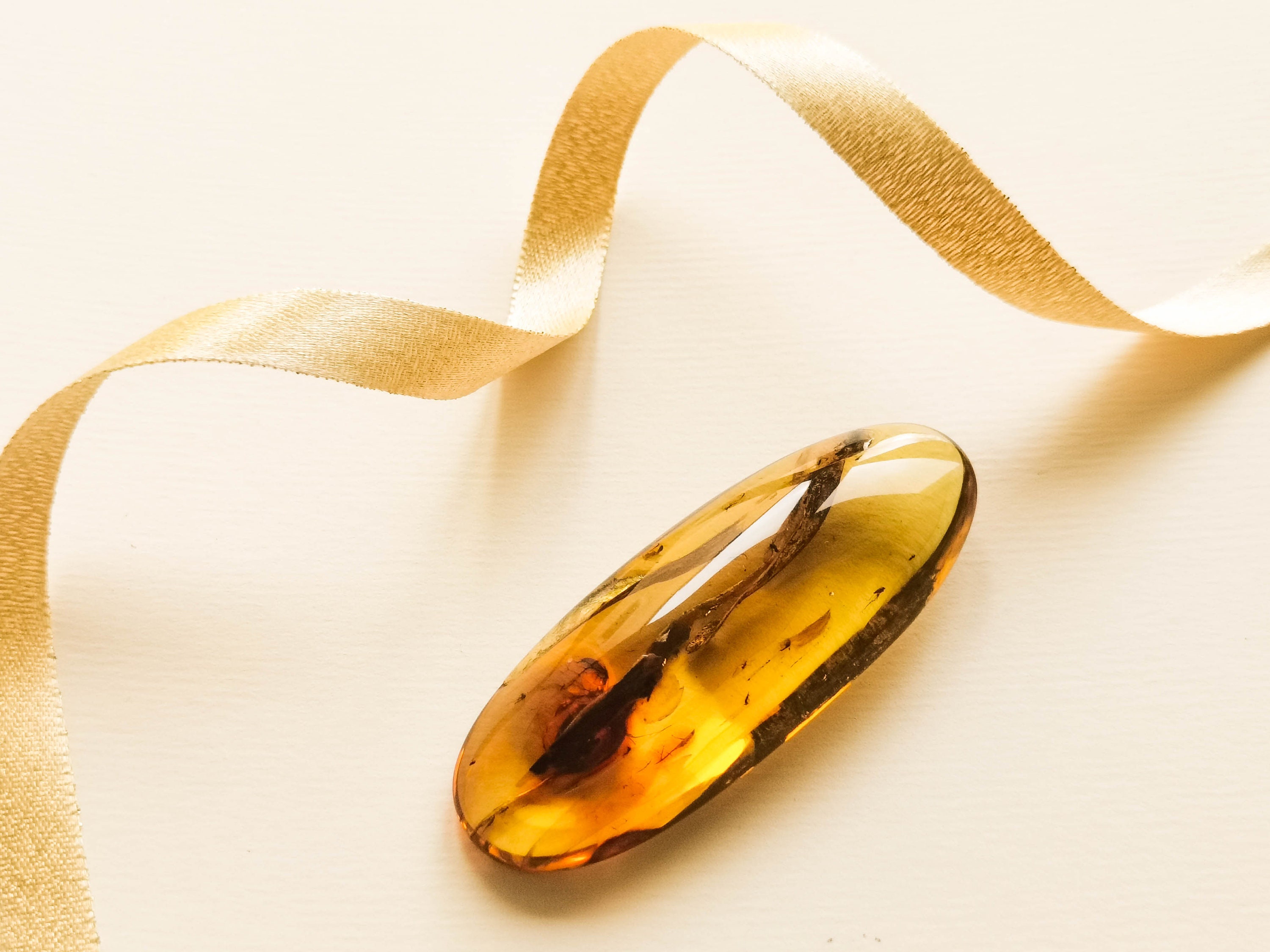 Amber With Insects Home Decoration Large Oval Amber Resin | Etsy