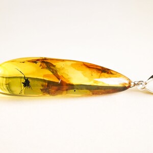 Amber Pendant With Man Insects Inside Unique Amber Pendant - Etsy