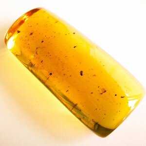 Clear and Shiny Golden Amber Stone Decoration Exclusive Amber | Etsy