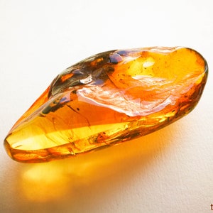 Large Original Oval Shape Natural Amber Resin Souvenir, Dark Cognac ...