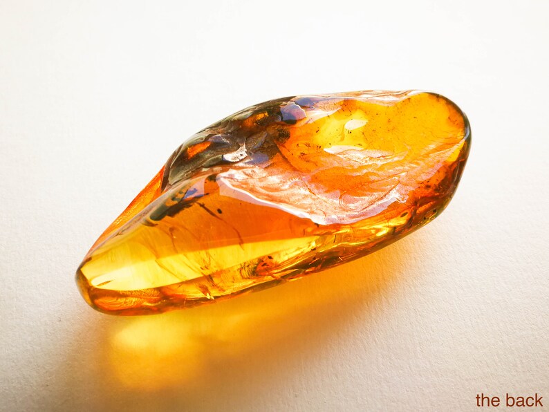 Large original oval shape natural amber resin souvenir dark | Etsy