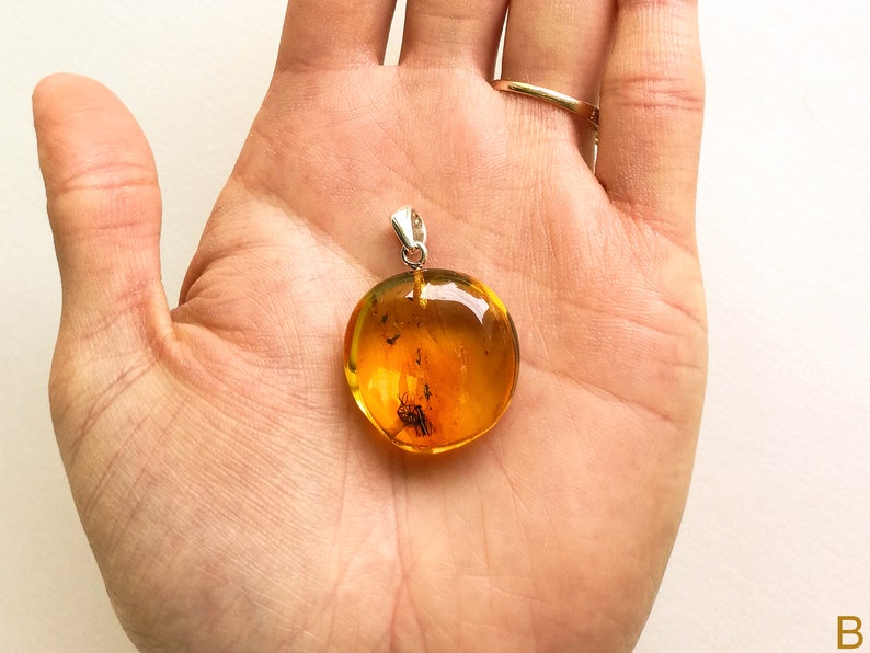 Mini Amber Insects Pendant Small Natural Amber Pendant With - Etsy