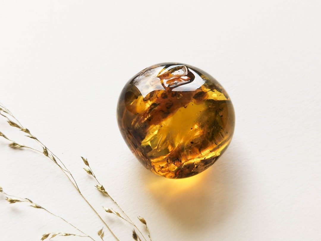 Dark Round Flat Natural Amber Resin Souvenir, Home Decor Genuine Amber ...