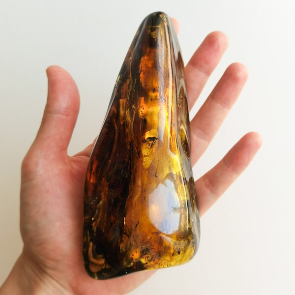 Amber Stone With Insect - Etsy