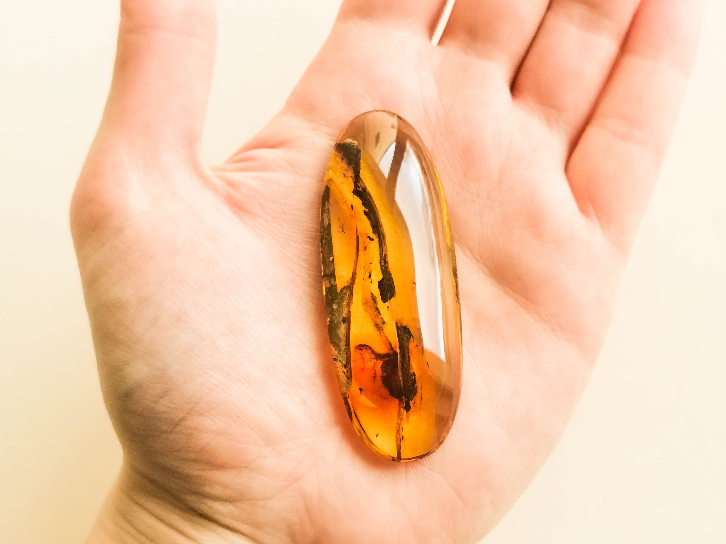 Amber With Insects Home Decoration Large Oval Amber Resin | Etsy
