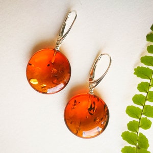 Golden Natural Amber Thick Round Shape Earrings/ Flat Round - Etsy
