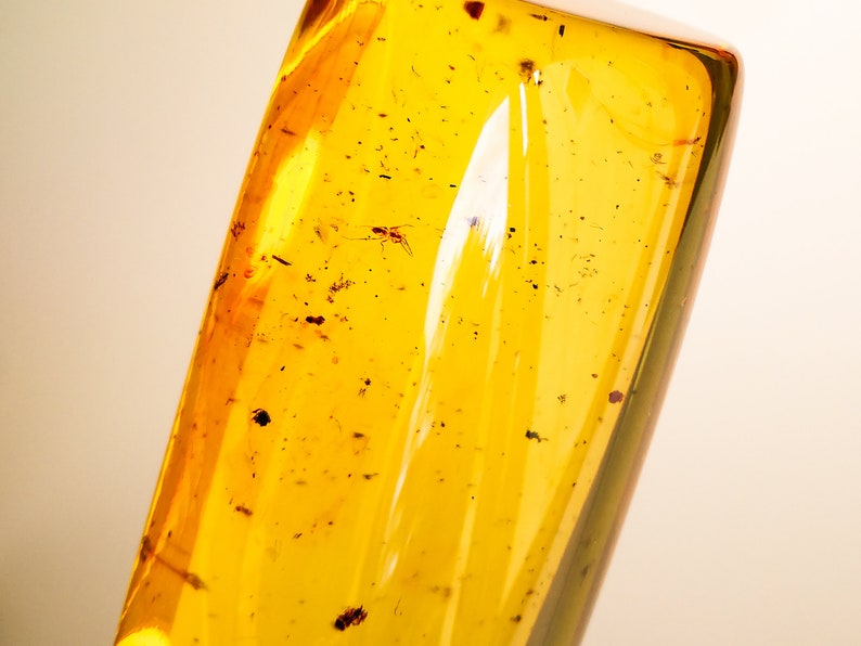 Clear and Shiny Golden Amber Stone Decoration Exclusive Amber | Etsy