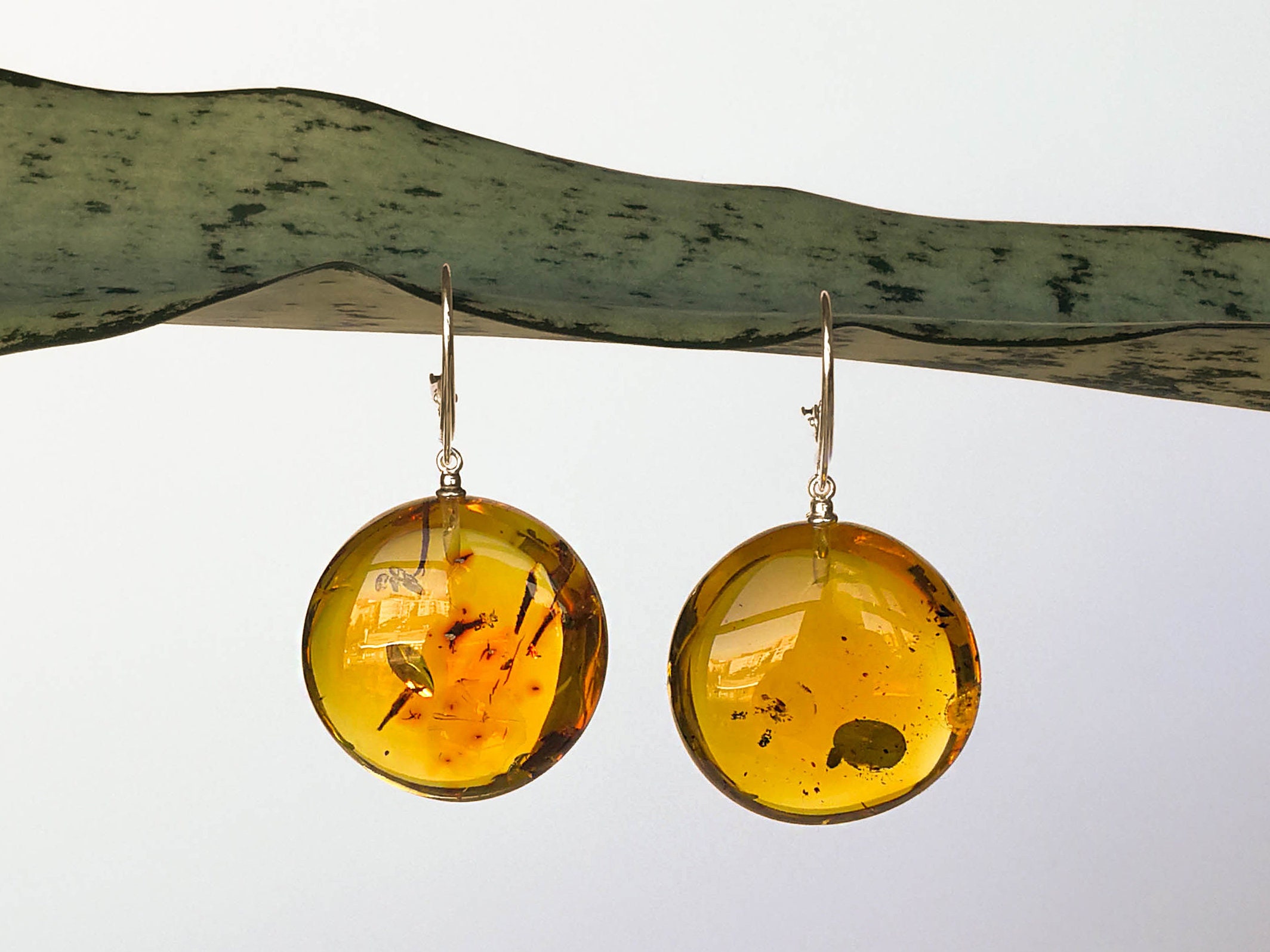 Round Bright Amber Earrings Round Flat Cognac Color Amber - Etsy