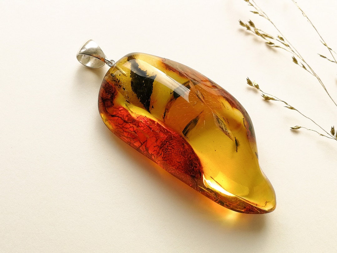 Large Natural Amber Unique Tusk Shape Orange Pendant Insect, Baltic Sea ...