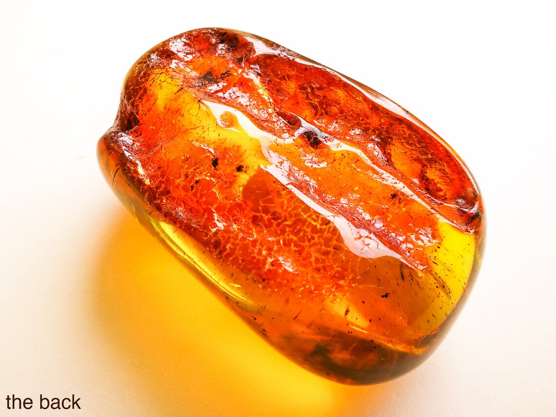 Clear & shiny golden amber stone insects decoration amber | Etsy