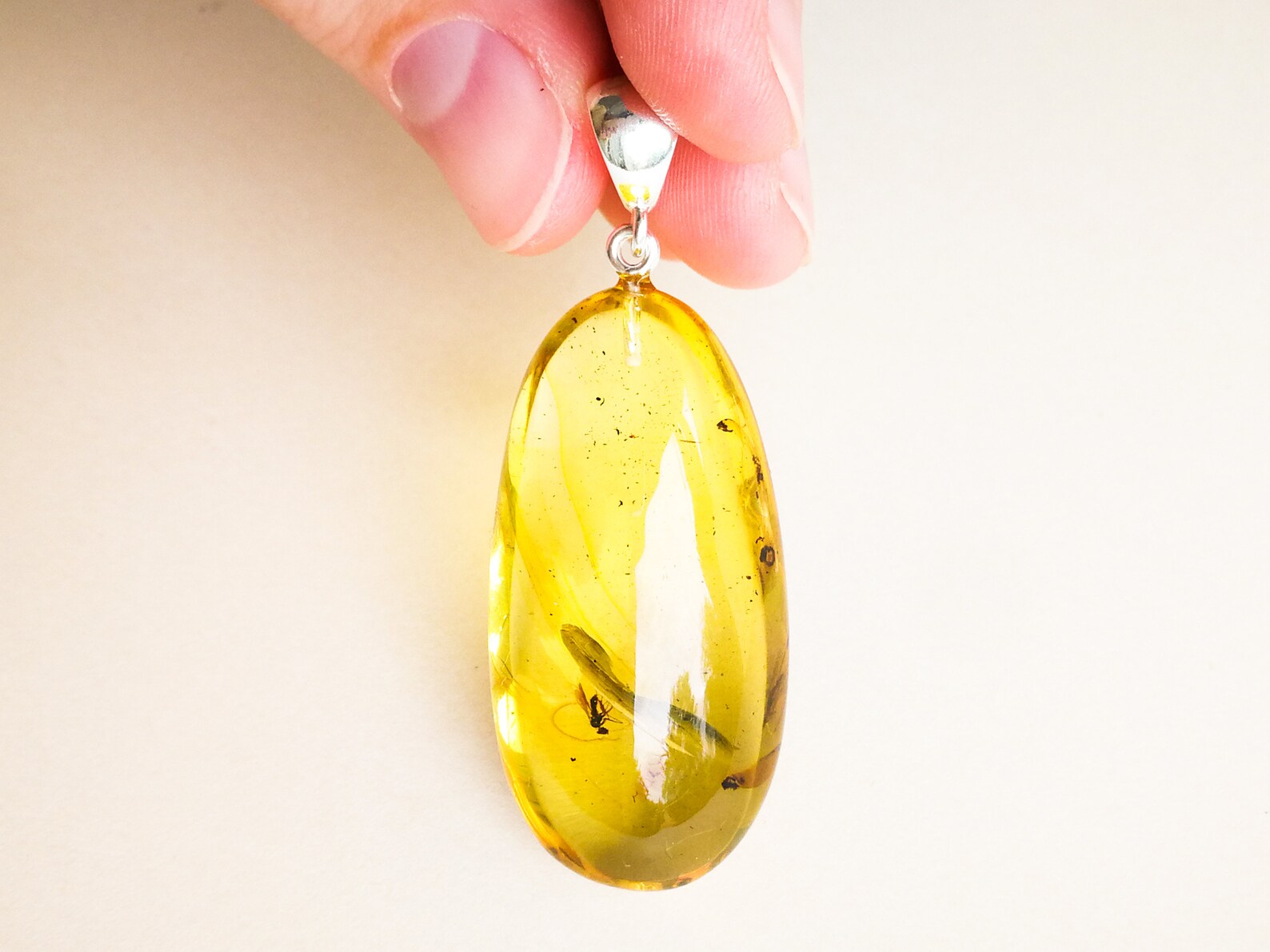 Small Light Yellow Round Genuine Amber Pendant With Insects - Etsy