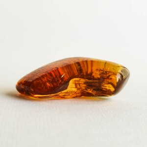 Cognac color genuine amber stone souvenir orange color home | Etsy