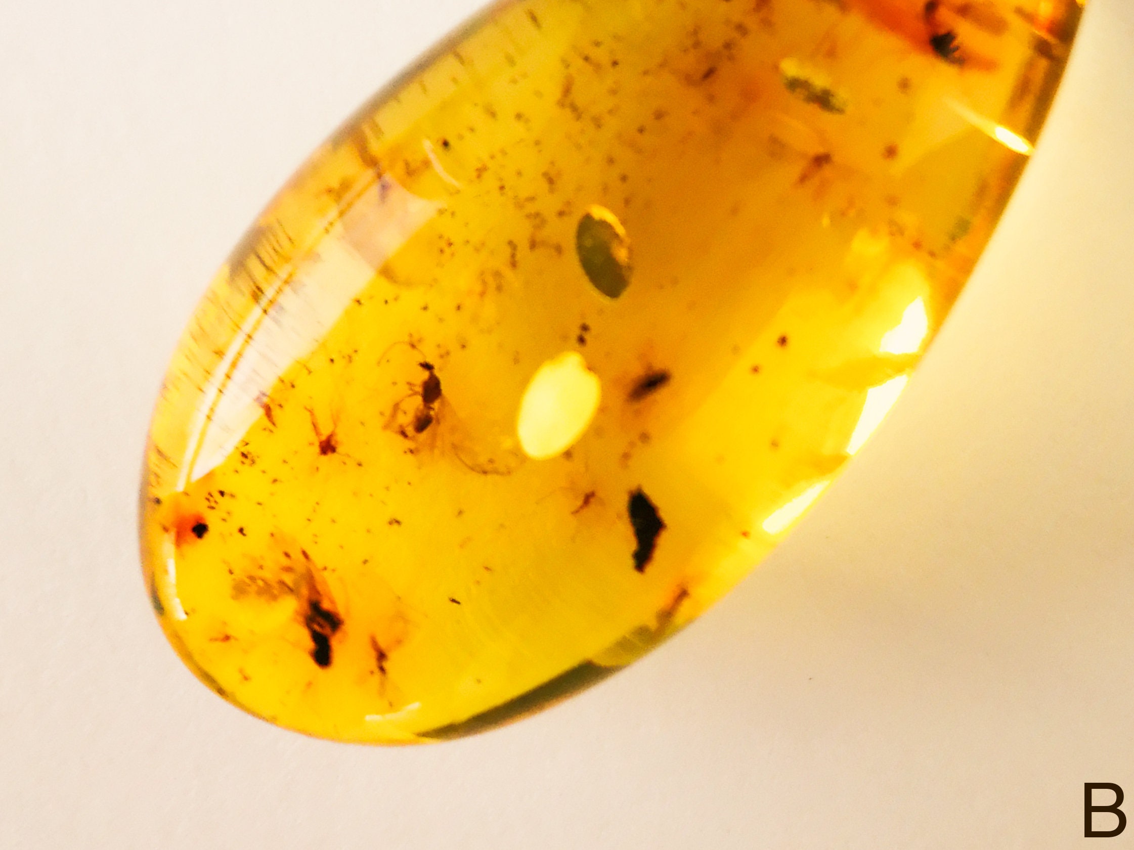 Large Colombian Copal Clear Yellow Color Drops Earrings | Etsy