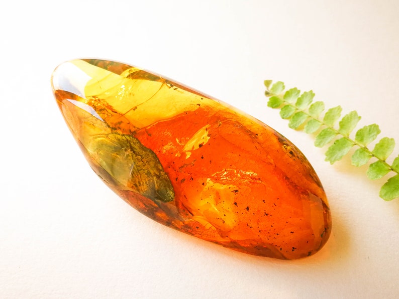 Large original oval shape natural amber resin souvenir dark | Etsy