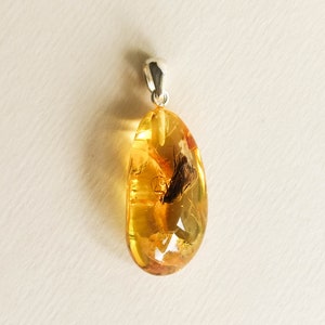Mini Amber Pendant With Mosquito Small Natural Amber Pendant | Etsy