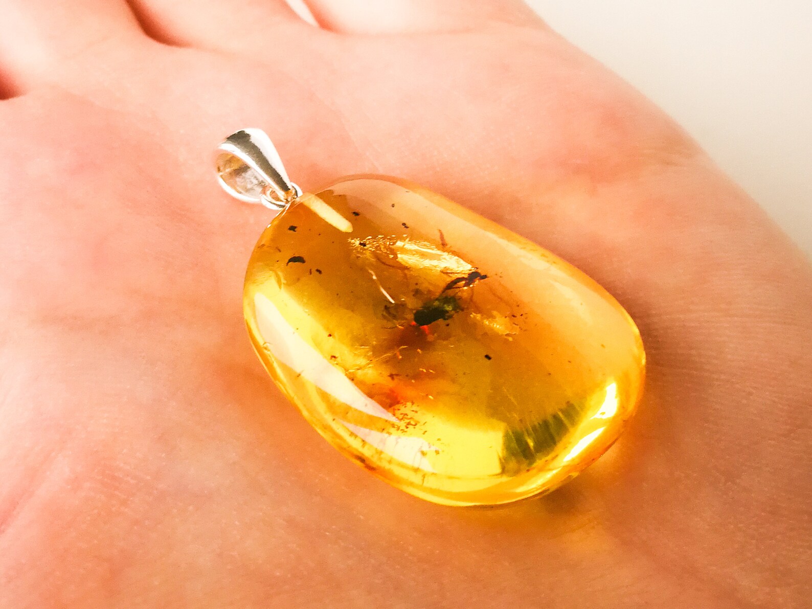 Small Round Amber Pendant With Fly Unique Light Yellow Amber - Etsy