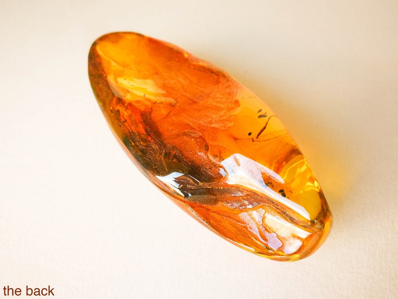 Large original oval shape natural amber resin souvenir dark | Etsy