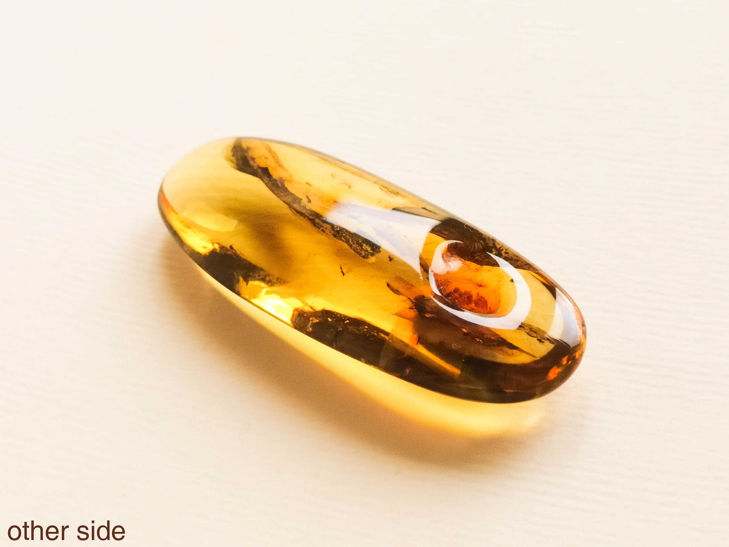 Amber With Insects Home Decoration Large Oval Amber Resin | Etsy