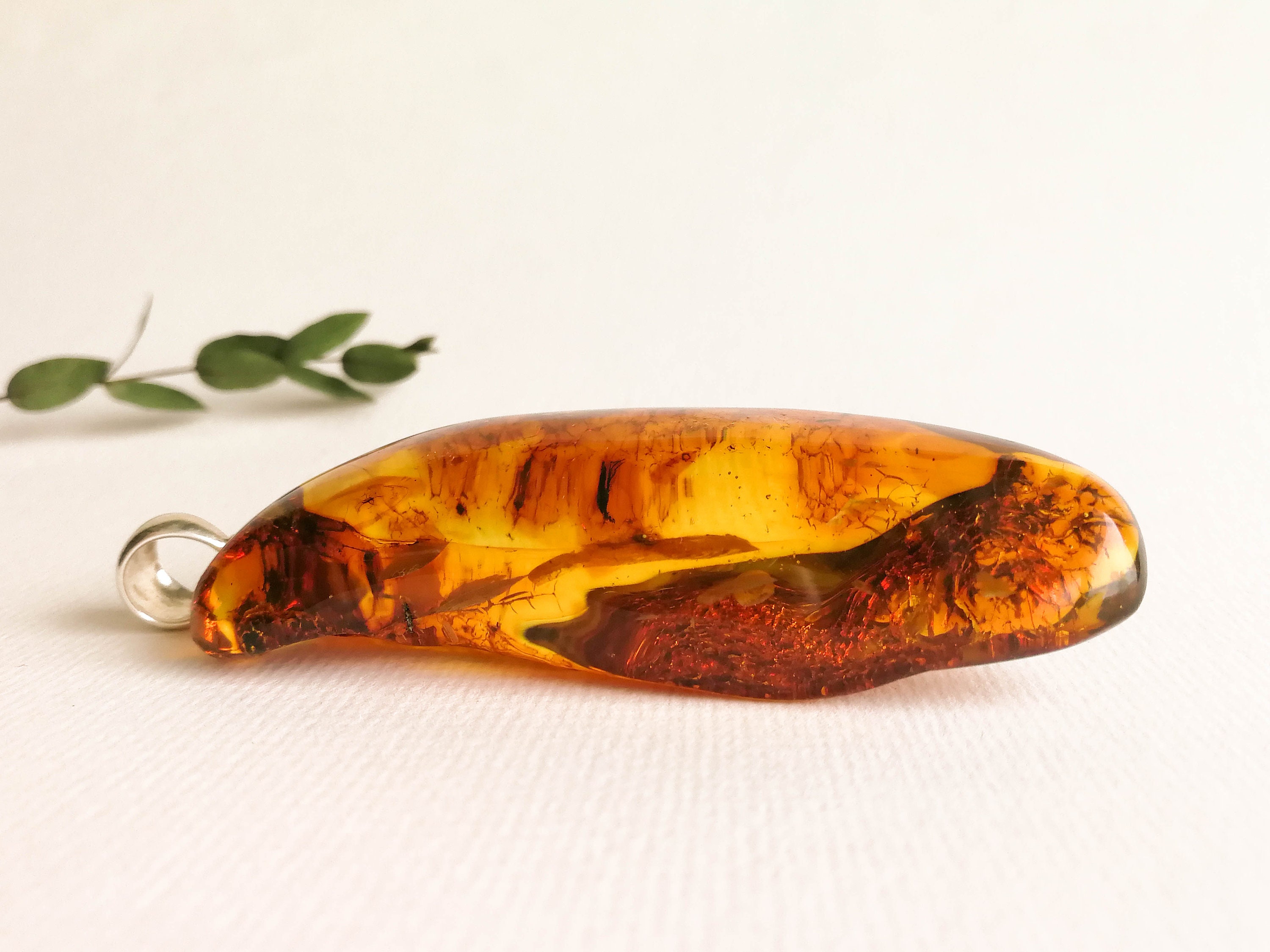 Large Natural Amber Unique Tusk Shape Orange Pendant Insect - Etsy