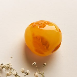Baltic Amber Souvenir Stone Egg Shape 30g Unique Shape Oval Amber ...