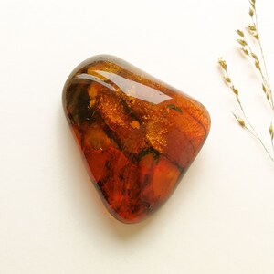 Clear Natural Amber Resin Souvenir, Home Decor Genuine Amber Gemstone ...