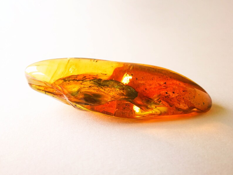 Large original oval shape natural amber resin souvenir dark | Etsy