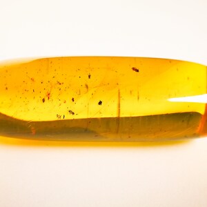 Clear and Shiny Golden Amber Stone Decoration Exclusive Amber | Etsy