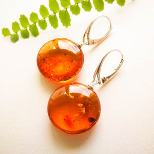Golden Natural Amber Thick Round Shape Earrings/ Flat Round - Etsy