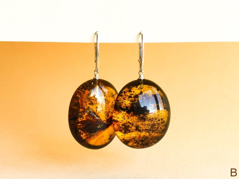 Massive Dark Genuine Amber Round Earrings for Women Amber and - Etsy