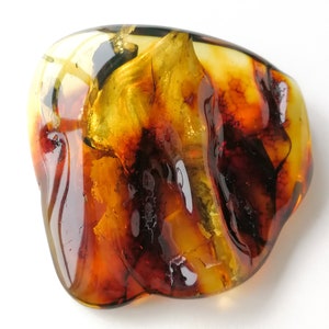 Clear Natural Amber Resin Souvenir Home Decor Genuine Amber - Etsy