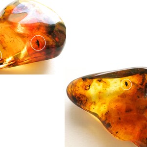 Big Amber Resin Triangle Souvenir for Harmony, Home Decor Genuine Amber ...