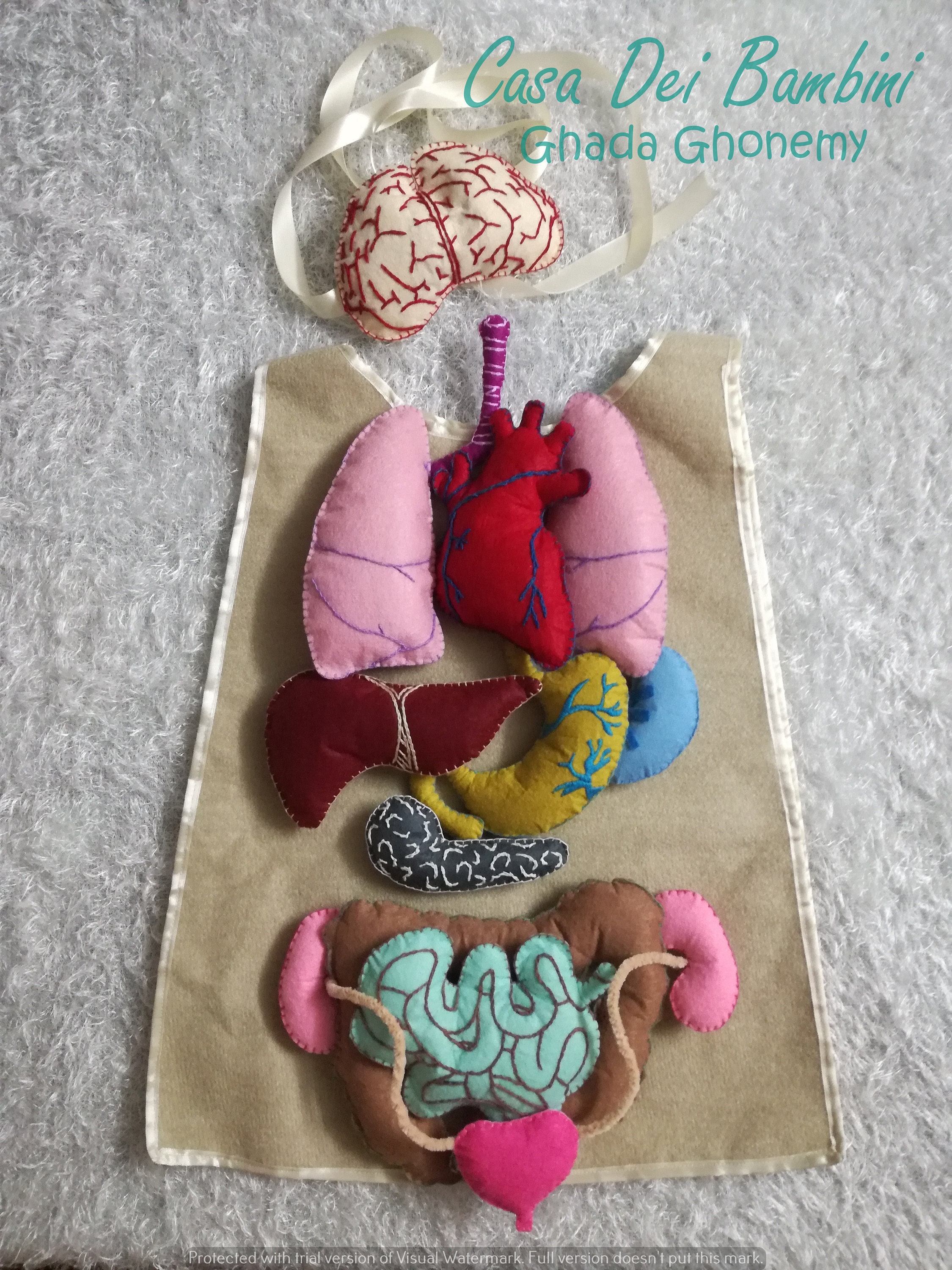 Montessori Anatomy Vest Science Lesson Educational Toys | Etsy