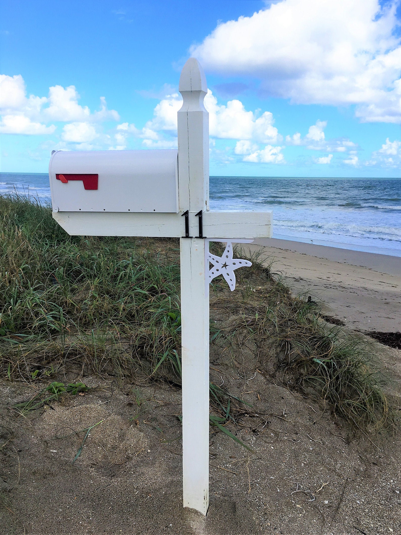 Mailbox Bracket Starfish Small 7x9 inch Custom Mailbox | Etsy