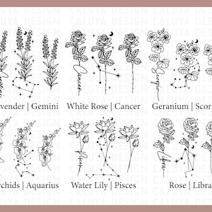 Birth Month Flower SVG Bundle | Zodiac SVG Bundle | Botanical SVG ...
