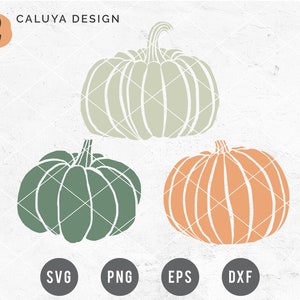 Hand Drawn Fall Pumpkin SVG Cut File Set for Cricut, Cameo Silhouette ...