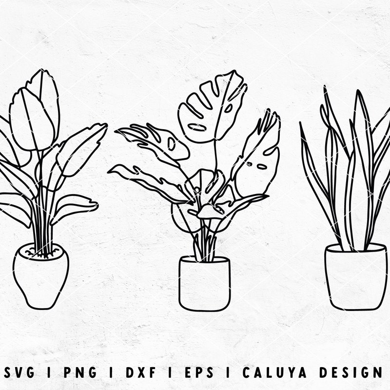 Plant Svg - Etsy