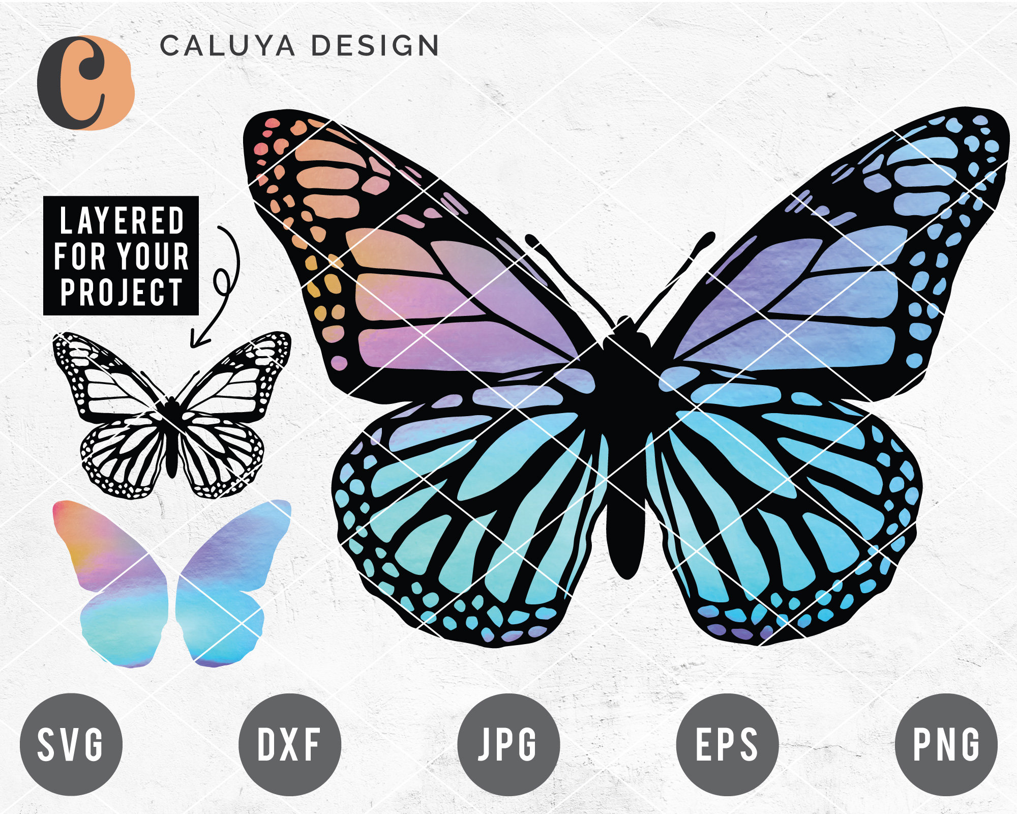Holographic Butterfly SVG Cut File for Cricut Cameo - Etsy