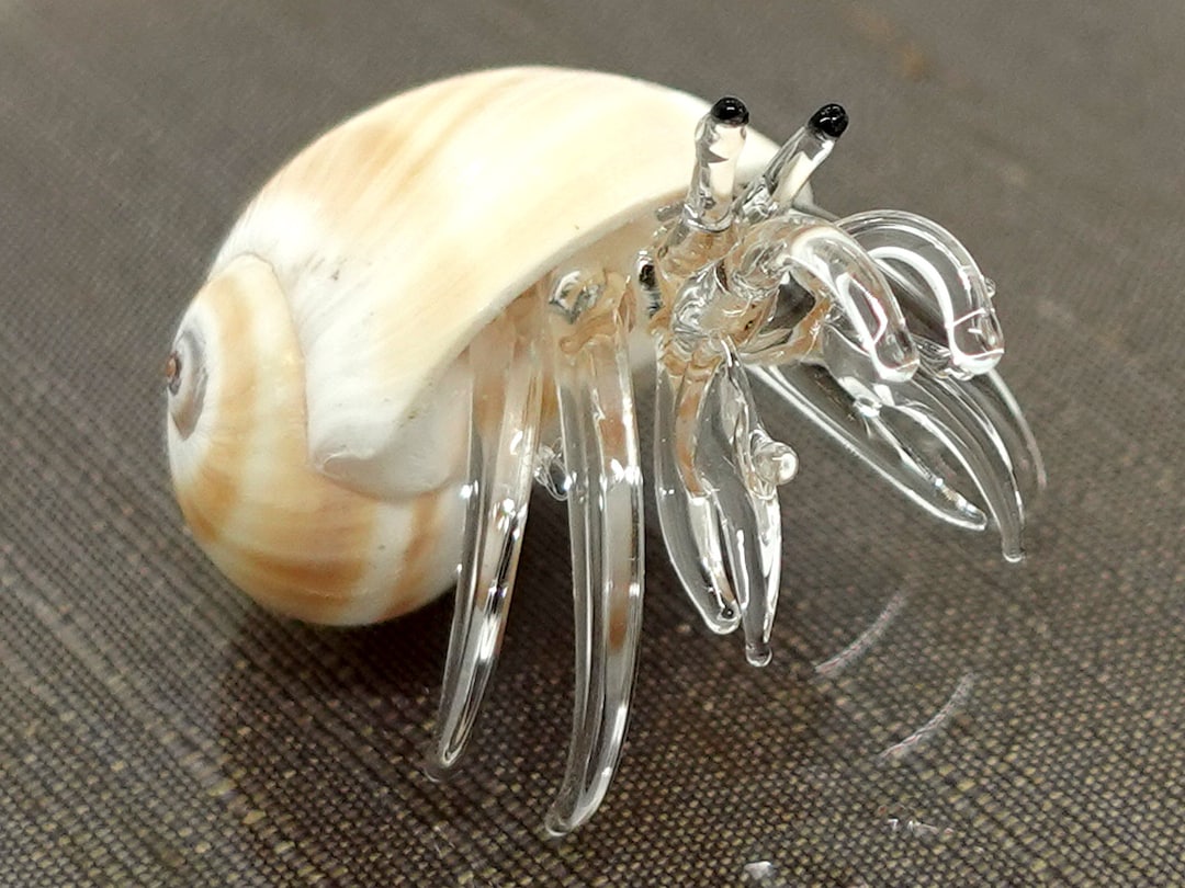 Sea Shell Seashell Hermit Crab Conch Tiny Miniature Figurines Beach ...
