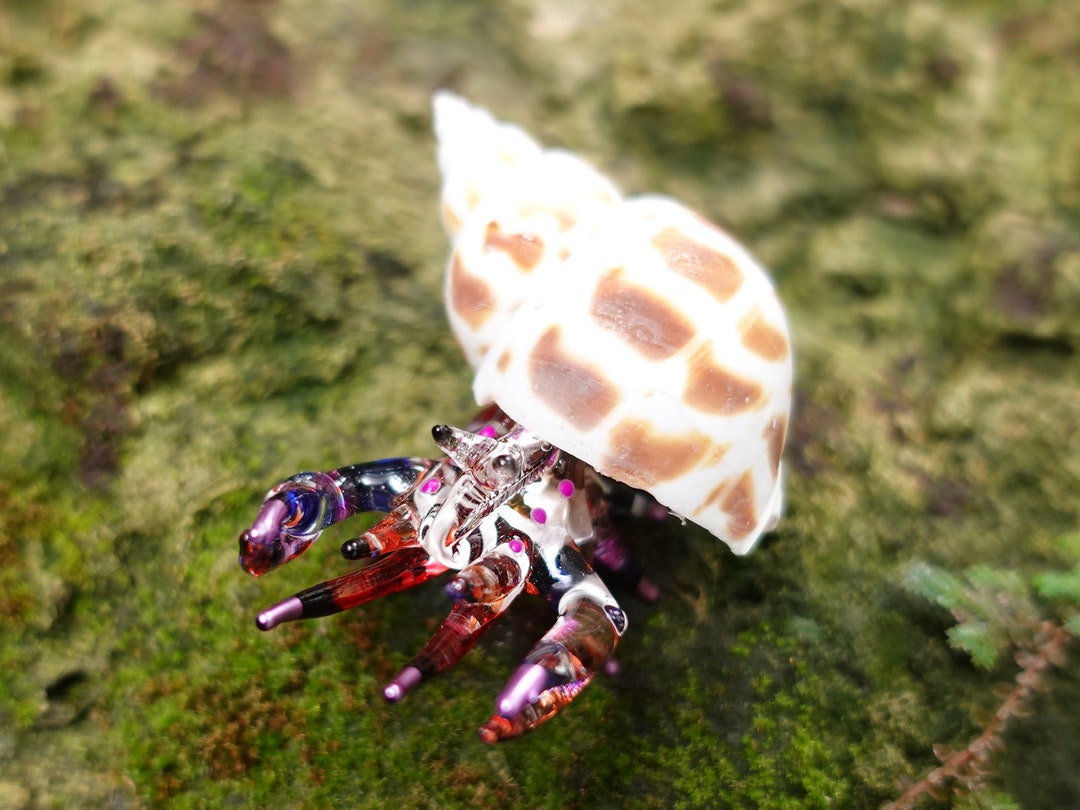 Seashell Hermit Crab Figurines Blown Glass Paint Mix Natural White ...