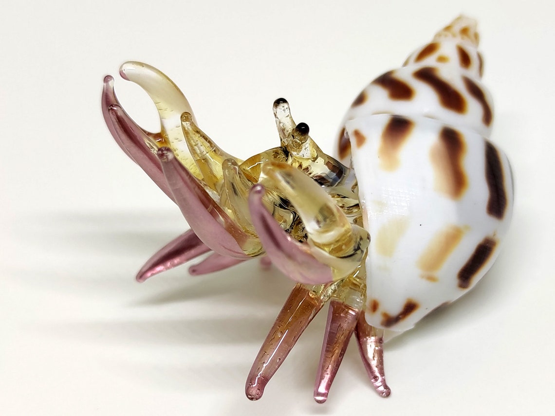 Seashell Hermit Crab Miniature Figurines Beach Animals Hand | Etsy