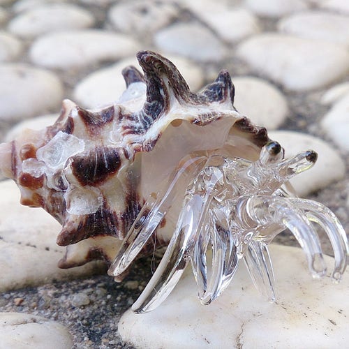 Red Seashell Hermit Crab Figurines Hand Blown Glass Mix - Etsy