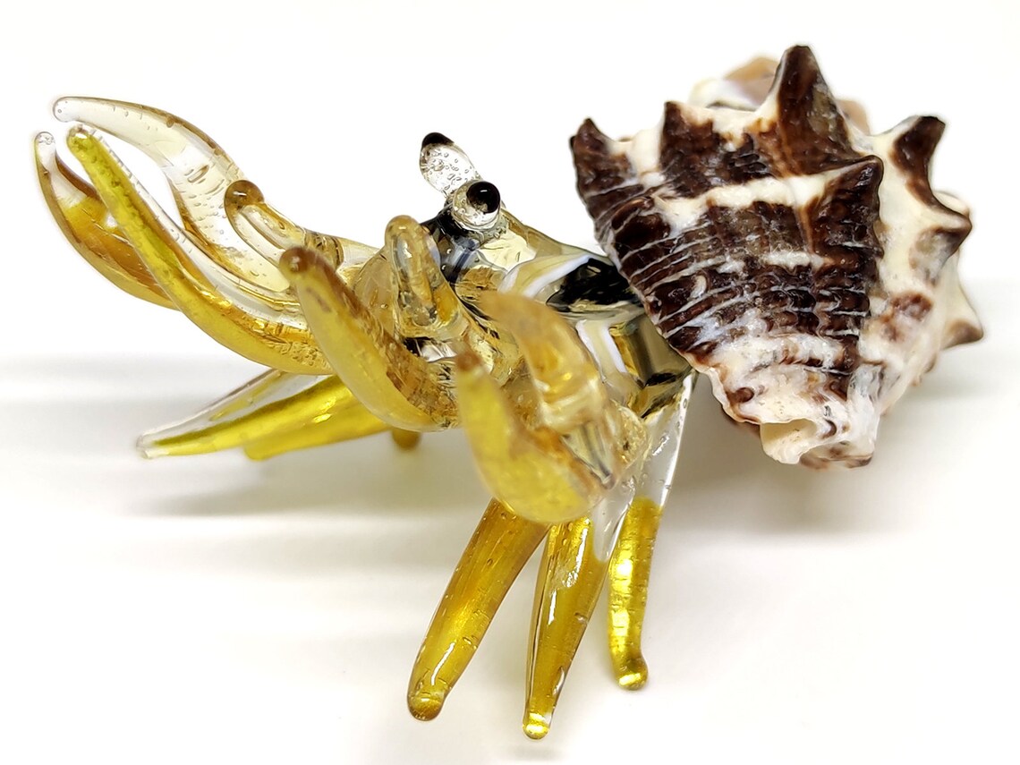Seashell Hermit Crab Miniature Figurines Animals Hand Blown - Etsy